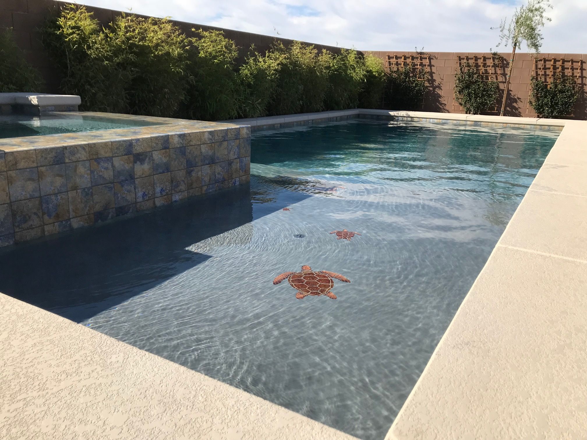 Italian Tile Pool Ceramic Tiles. Application Swimming Pool, Made In